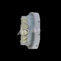 China Full Contour Monolithic Zirconia Dental Crown for sale