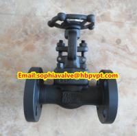 China ANSI A105N forged gate valve for sale