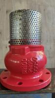 China screen SS304 DN100 PN16 GGG50 foot valve factory in Hebei Province for sale