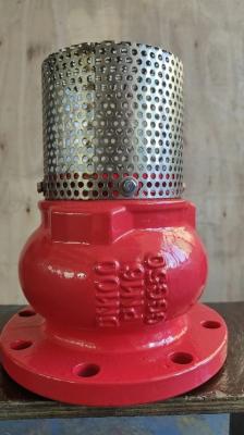 China screen SS304 DN100 PN16 GGG50 foot valve factory in Hebei Province for sale