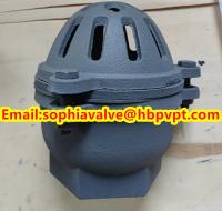 China BRITISH STANDARD BS21 cast iron threaded foot valve contact Sophie for sale
