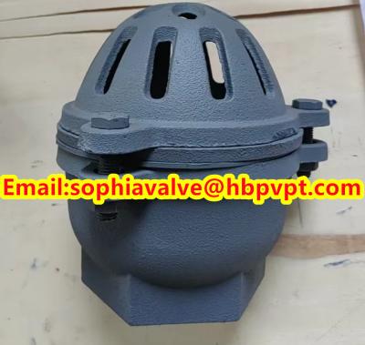 China BRITISH STANDARD BS21 cast iron threaded foot valve contact Sophie for sale