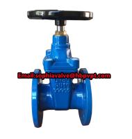 China GGG50 resilient seal BS gate valve for sale