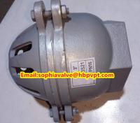 China female thread foot valve material GG20 for sale