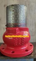 China PN10 or PN16 cast iron flanged foot valve Supplier for sale