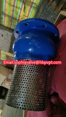 China JIS ANSI 125LB cast iron flanged foot valve for sale