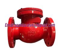 China Design standard DIN GG25 metal seal cast iron check valve for sale