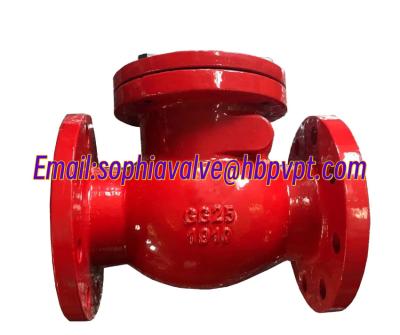 China Design standard DIN GG25 metal seal cast iron check valve for sale