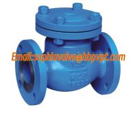 China H44H cast steel WCB flanged swing check valve for sale