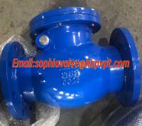 China GG25 low pressure cast iron flanged swing check valve blue color for sale