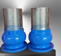 China GGG50 H42X cast iron flanged foot valve manufacturer in China for sale