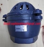 China 4 INCH GG20 BS21 PN16 cast iron foot valve factory located in Xingtai for sale
