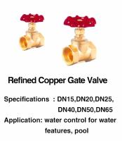 China SGS Swimming Pool Fountain Accessories 1 Inch Brass Gate Valve for sale