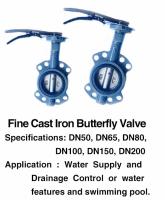 China Pool Fountain Accessories Manual DN25 1 Inch Cast Iron Butterfly Valve for sale