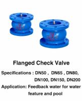 China Pool Fountain Accessories Refined DN25 1 Inch Flanged Check Valve for sale