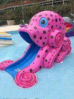 China Toddler Fiberglass Octopus Water Slide Oxidation Resistance for sale