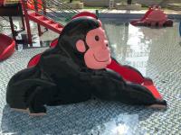 China Corrosion Resistance Monkey Water Slide For Teenagers Summer Playing Indoor for sale