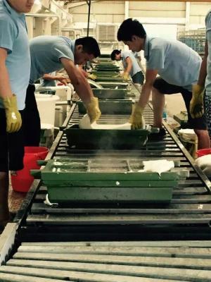 China High Efficiency 120m Latex Pillow Production Line - 1000-1200pcs/10hr Capacity with 50kW Motor for sale