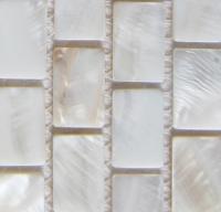 China Handmade Freshwater Sea Shell Wall Mosaic 10x20mm Natural Shell Tile 305x305mm for sale