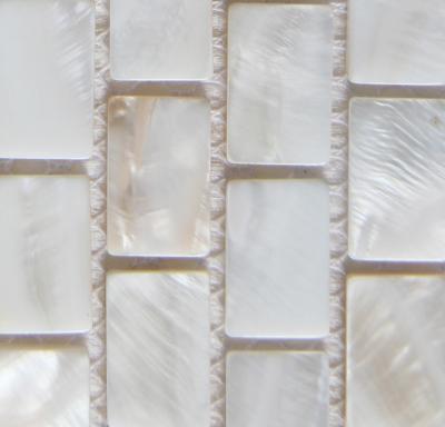 China Handmade Freshwater Sea Shell Wall Mosaic 10x20mm Natural Shell Tile 305x305mm for sale