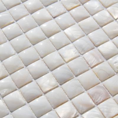 China Handmade Freshwater Shell Mosaic Tile 20x20mm Convex Surface Natural Seashell Wall Decor for sale