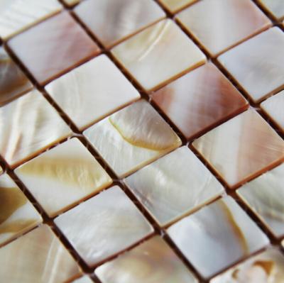 China Handmade Sea Shell Mosaic Tile 20x20mm Natural Freshwater Shell Wall Decor 305x305mm for sale