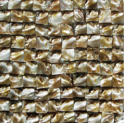 China Handmade Freshwater Shell Mosaic Tile 20x20mm Convex Surface Natural Seashell Wall Decor for sale