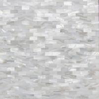 China Handmade Beautiful Sea shell Wall Mosaic Panel Freshwater Shell Decorating Panel 10x20mm for sale