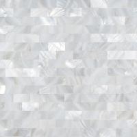 China Handmade Beautiful Sea shell Wall Mosaic Panel Freshwater Shell Decorating Panel 10x20mm for sale