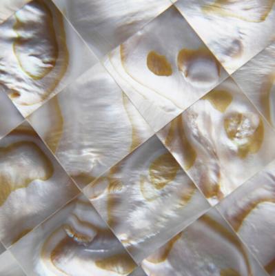 China Handmade Beautiful Sea shell Wall Mosaic Panel Freshwater Shell Decorating Panel 17x17mm for sale
