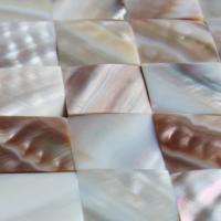 China Rough Surface Freshwater Sea Shell Wall Panel Mosaic 30x30mm Custom Size for sale