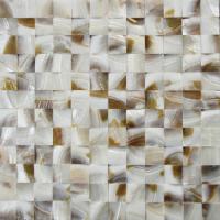 China Rough Surface Freshwater Shell Wall Cladding Mosaic Panel 30x30mm Natural Seashell Decor for sale