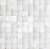 China Convex Surface Beautiful Sea shell Wall Panel Freshwater Shell Decorating Panel 20x20mm for sale