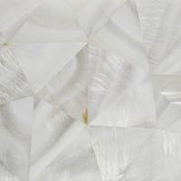 China Handmade Beautiful Sea shell Wall Panel Freshwater Shell Decorating Panel Triangle 10-35mm for sale