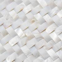 China Convex Surface Beautiful Sea shell Wall Panel Freshwater Shell Decorating Panel 10x20mm for sale