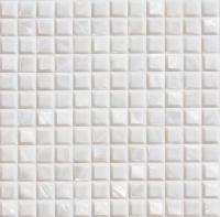 China Natural Seashell Wall Panel 20x20mm High Block Surface Freshwater Shell Mosaic for Indoor Decoration for sale