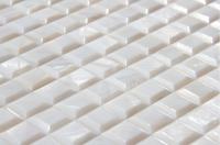 China Natural Seashell Wall Panel 20x20mm High Block Surface Freshwater Shell Mosaic for Indoor Decoration for sale