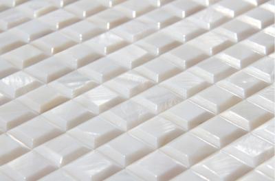 China Natural Seashell Wall Panel 20x20mm High Block Surface Freshwater Shell Mosaic for Indoor Decoration for sale