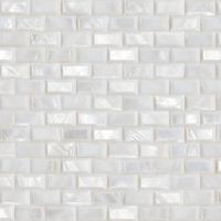 China Convex High Block Surface Sea shell Wall Panel Freshwater Shell Decorating Panel 10x20mm for sale