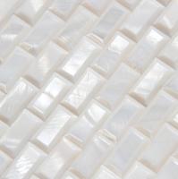 China Convex High Block Surface Sea shell Wall Panel Freshwater Shell Decorating Panel 10x20mm for sale