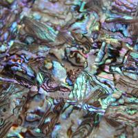 China Handmade Sea shell Wall Panel Abalone Shell Decorating Panel Shiny Colorfully in 20x20mm for sale
