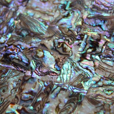 China Handmade Sea shell Wall Panel Abalone Shell Decorating Panel Shiny Colorfully in 20x20mm for sale