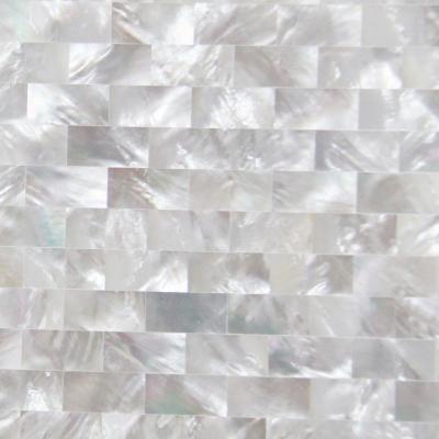 China Handmade Beautiful Sea shell Wall Panel White Butterfly Shell Decorating Panel 10x20mm for sale