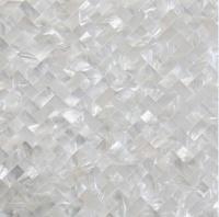 China Handmade Beautiful Sea shell Wall Panel White Butterfly Shell Decoration Panel 10x20mm for sale