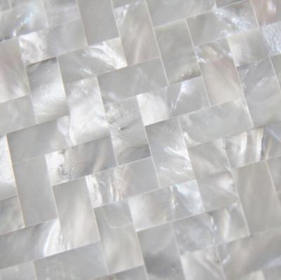 China Handmade Beautiful Sea shell Wall Panel White Butterfly Shell Decoration Panel 10x20mm for sale