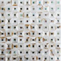 China Handmade Natural Sea shell Wall Panel Abalone Shell Mixed Colorful Shell Decorating Panel for sale