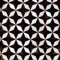 China Natural Sea shell Wall Mosaic Freshwater Shell Mixed Penguin Shell Decorating Wall Panel for sale