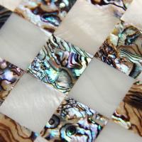China Natural Sea shell Wall Covering Freshwater Shell Mixed Abalone Shell Decorating Wall Panel for sale