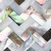 China Natural Sea shell Wall Covering Freshwater Shell Mixed Penguin Decorating Shell Wall Panel for sale