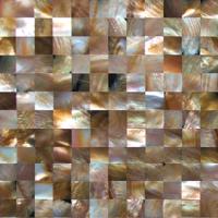 China Natural Penguin Shell Wall Covering Mosaic Panel Square Pieces 20x20mm Custom Size for sale